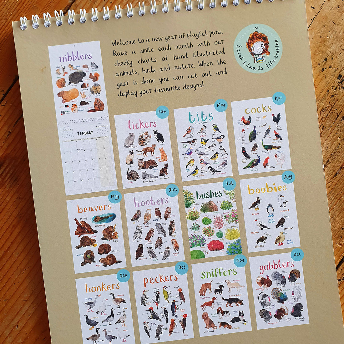 Sarah Edmonds Illustration