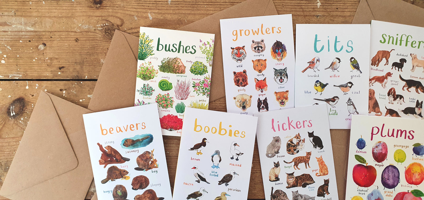 Sarah Edmonds Illustration