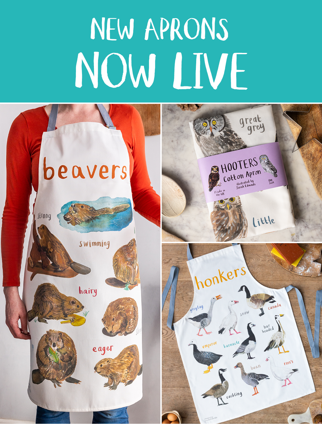 Sarah Edmonds Illustration