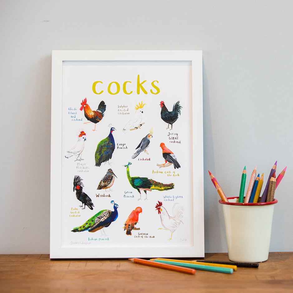 Prints – Sarah Edmonds Illustration